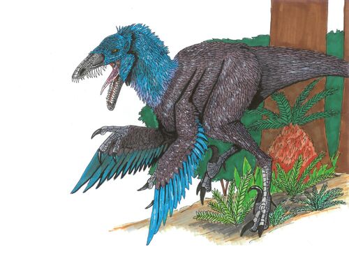 Raptor - Cool Dino Facts Wiki Raptor - Cool Dino Facts Wiki