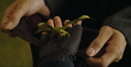 Common Welsh Green - Harry Potter Wiki Common Welsh Green - Harry Potter Wiki