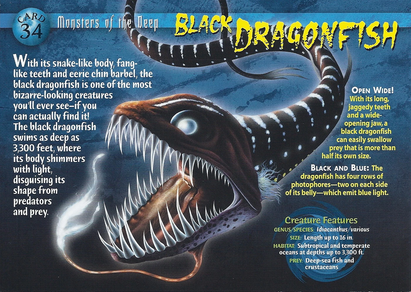Black Dragonfish Wierd N wild Creatures Wiki Black Dragonfish Wierd N wild Creatures Wiki