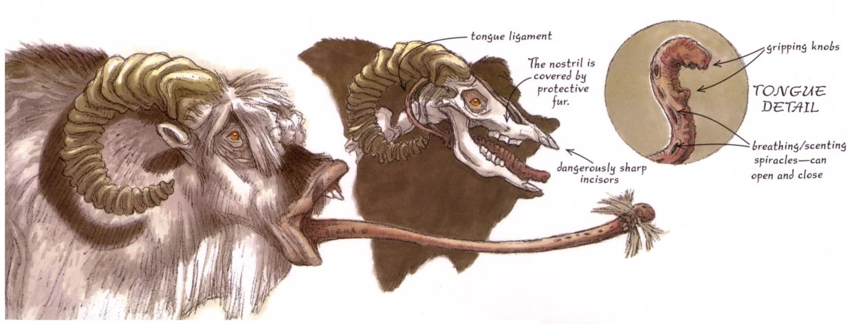 Bantha - Wookieepedia, the Star Wars Wiki