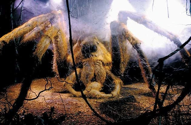 Aragog – Harry Potter Wiki