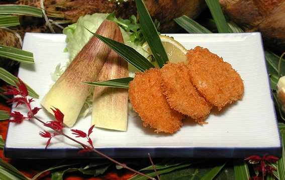 Agemono - Recipes Wiki