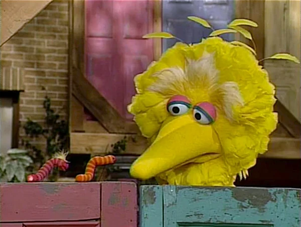 Episode 3882 - Muppet Wiki