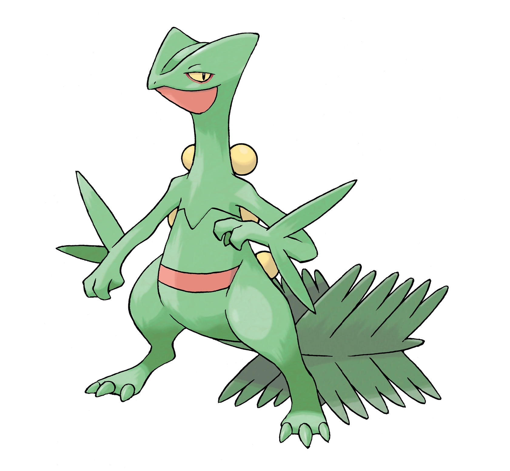 Treecko - WikiDex, la enciclopedia Pokémon
