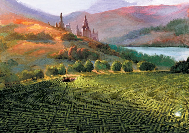 Does Not Illustrate: The Maze - TV Tropes Forum