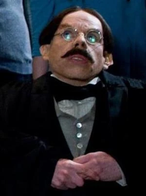 Harry Potter Professor Sprout