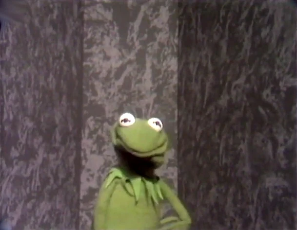 Kermit The Frog Upset