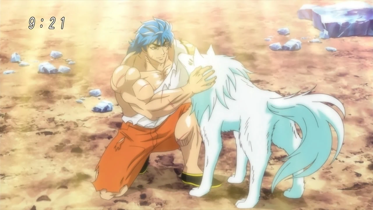 Terry Cloth/Relationships - Toriko Wiki