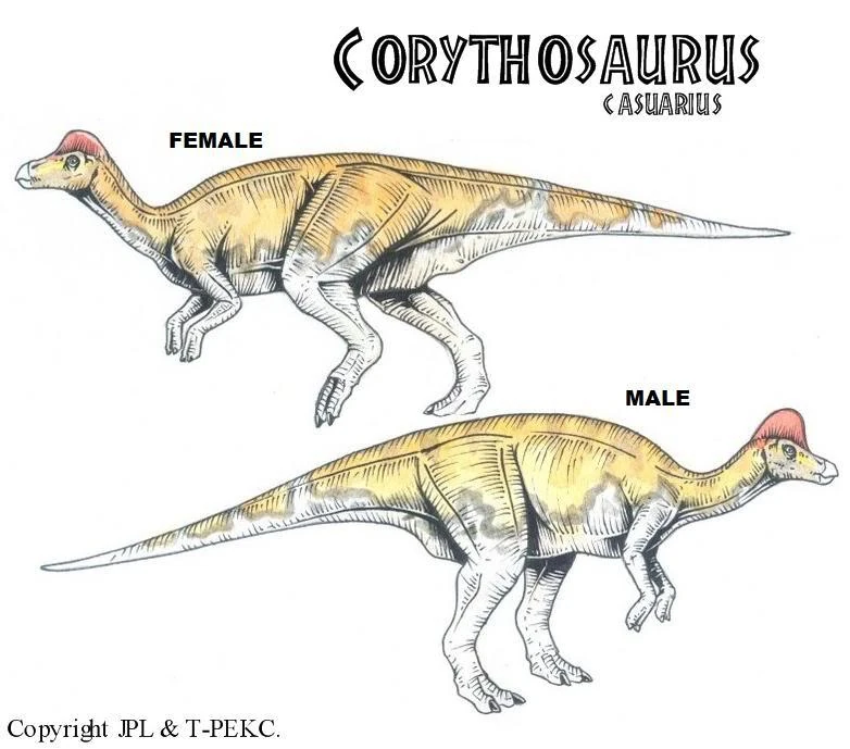 Corythosaurus casuarius - JPL Live the Legend Wiki