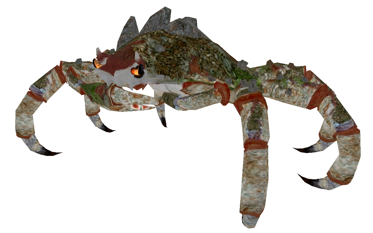 Mudcrab