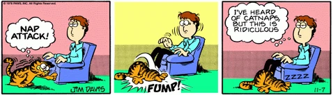 This is how my cat sleeps on my dog's bed : r/aww