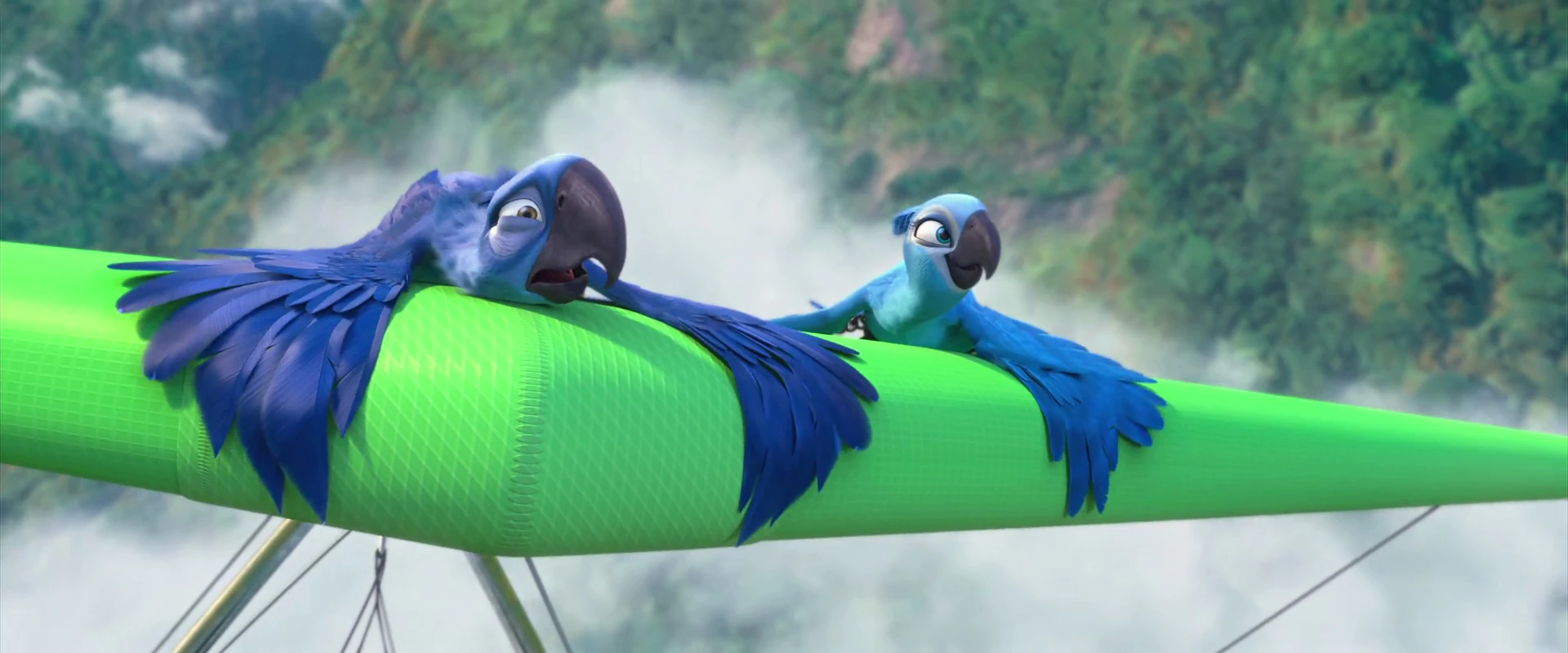 Rio Jewel And Blu