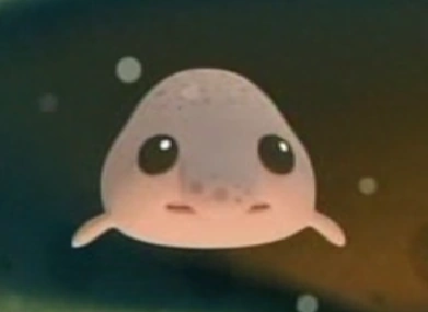 Fish Octonauts Wiki