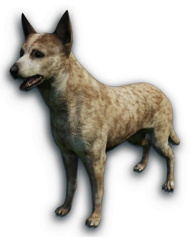Dingo - Far Cry Wiki
