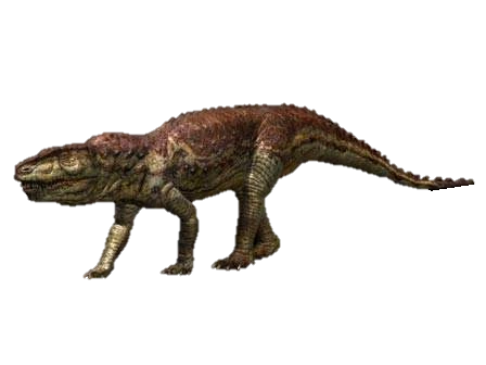 Postosuchus Size