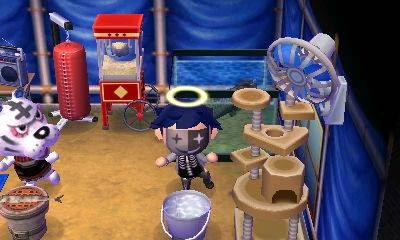 Rolf - Animal Crossing Wiki