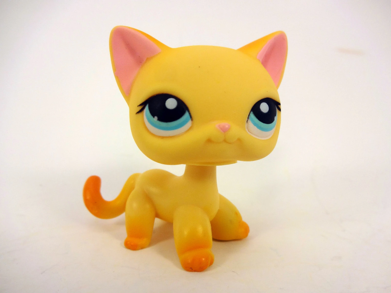 339 Cat - Littlest Pet Shop Wiki