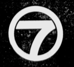 WSVN - Logopedia, the logo and branding site