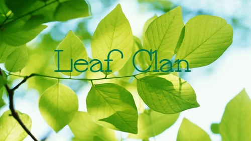 View topic - Leafclan (only accepting open cats, see front page ...