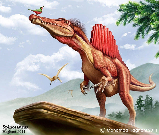 Spinosaurus - Dinopedia - the free dinosaur encyclopedia